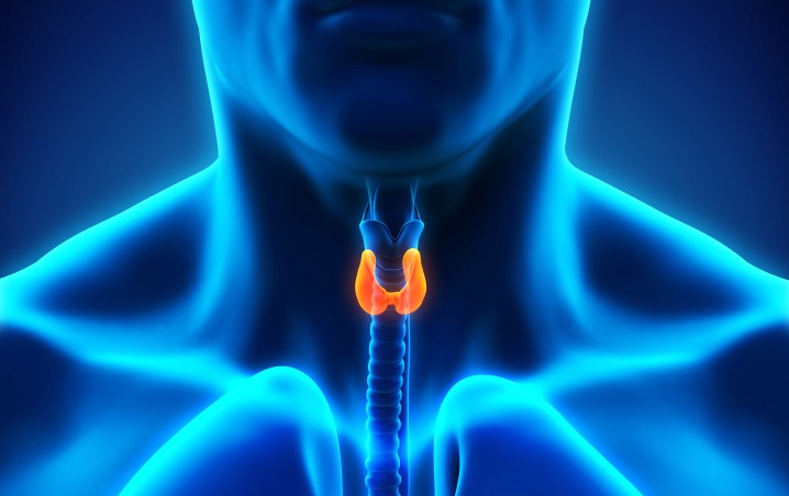 Thyroidectomie totale : L'ablation de la glande thyroïde